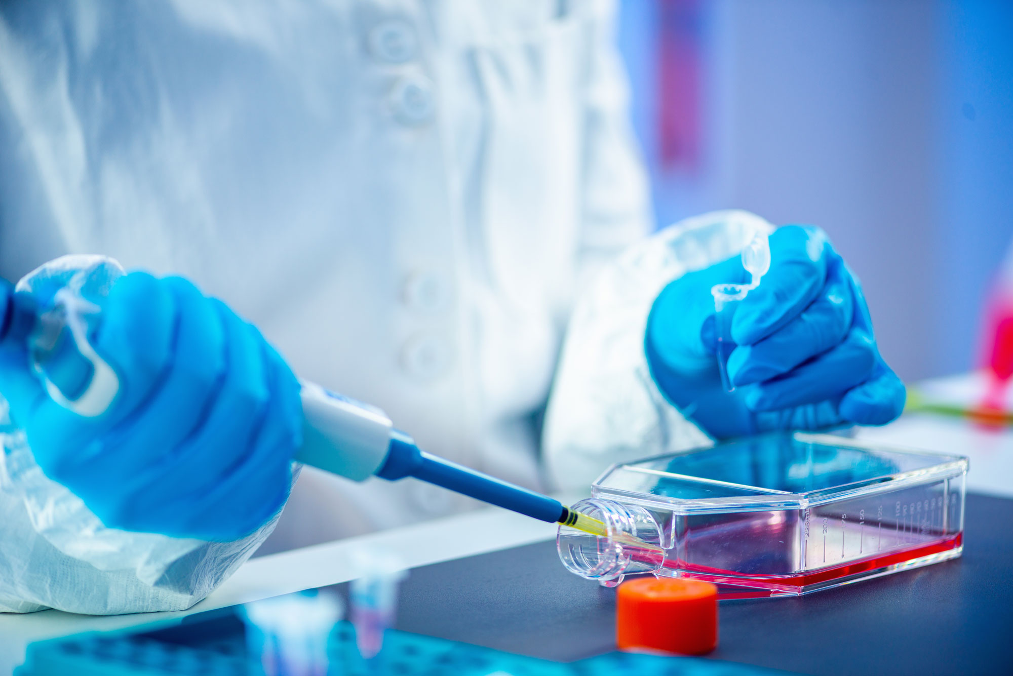 Contract Vitamin Manufacturer | Bactolac Pharmaceutical