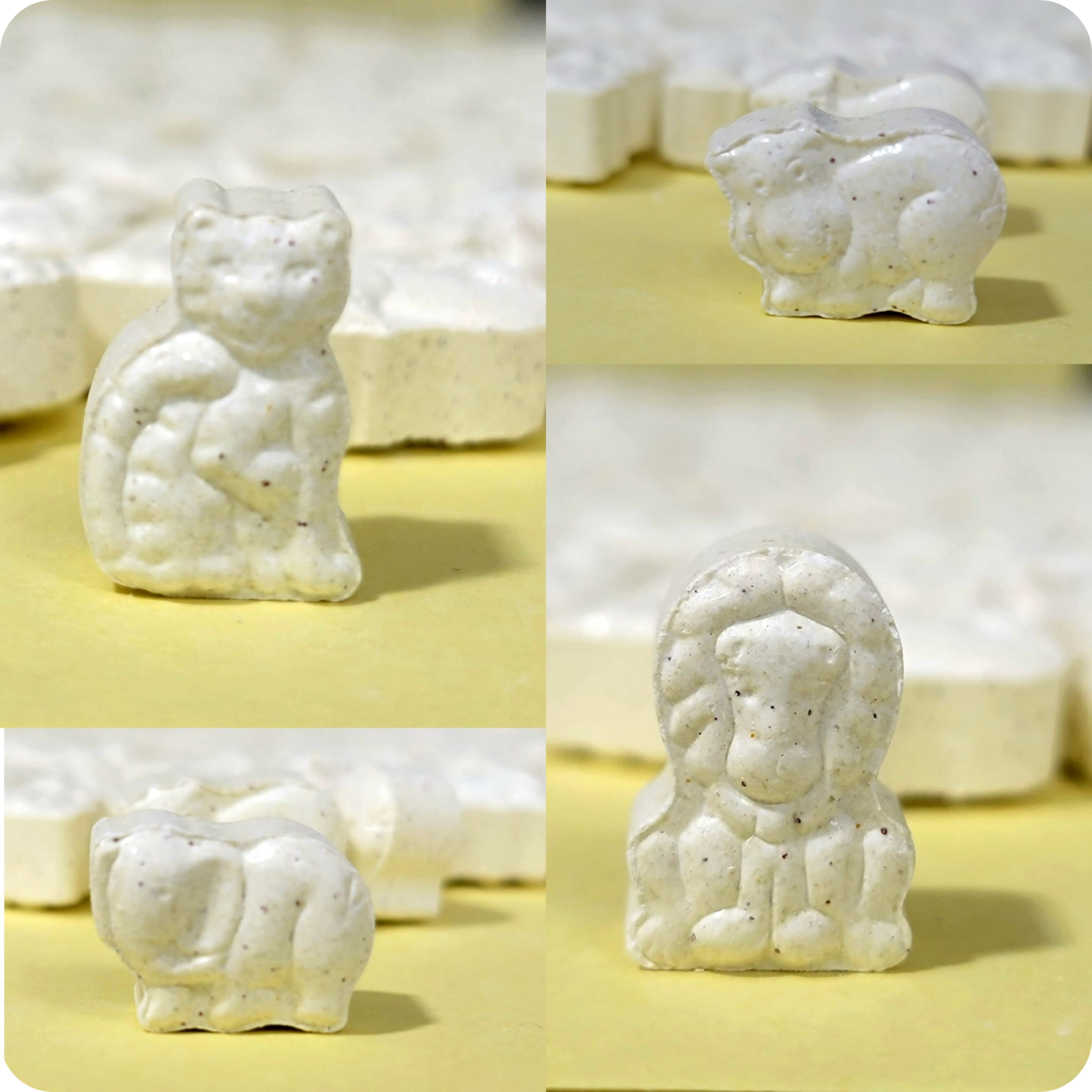 Chewable Tablets - Tasty & Convenient Supplements | Bactolac