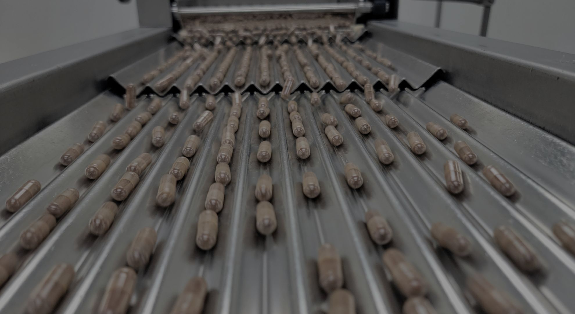 Veggie Capsules - Find the Right Capsule for Your Brand